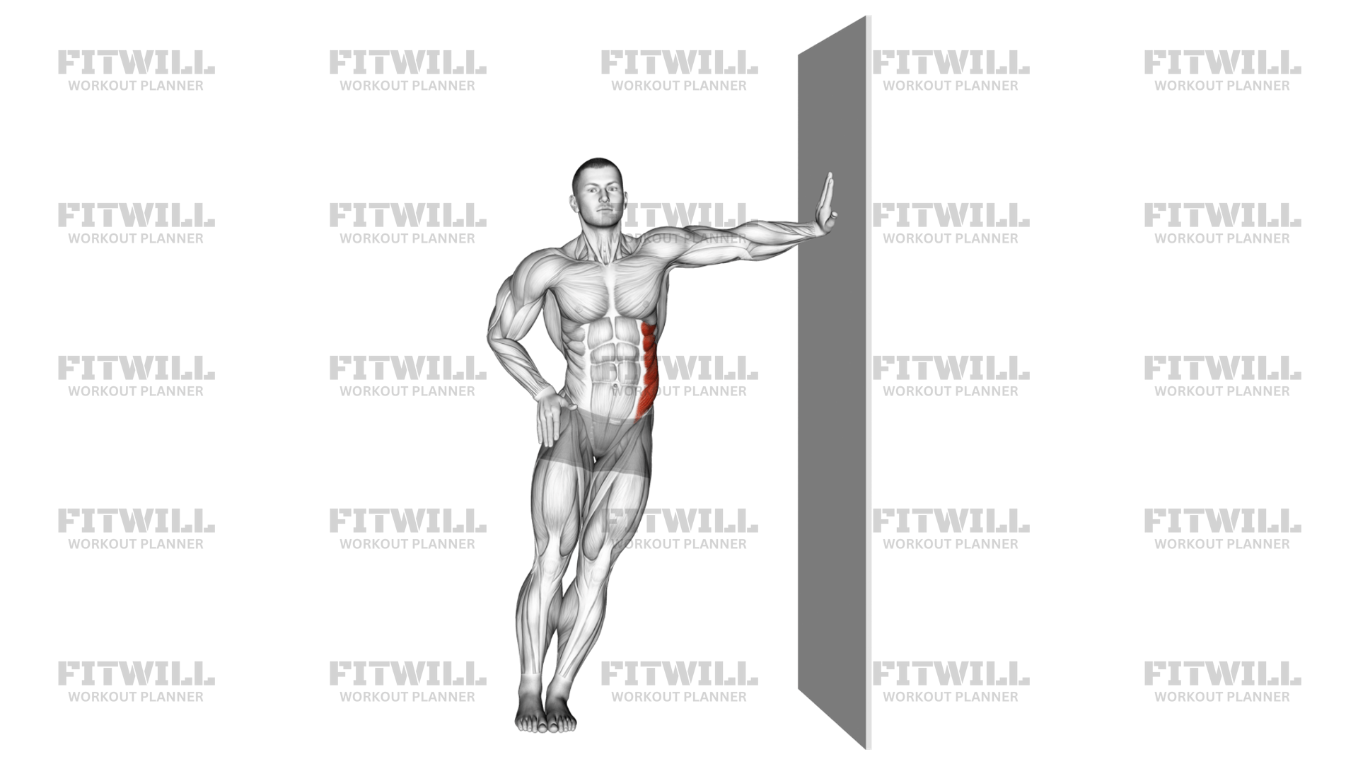Standing Lower Trunk Lateral Flexor Stretch: Exercise Guide, Techniques ...