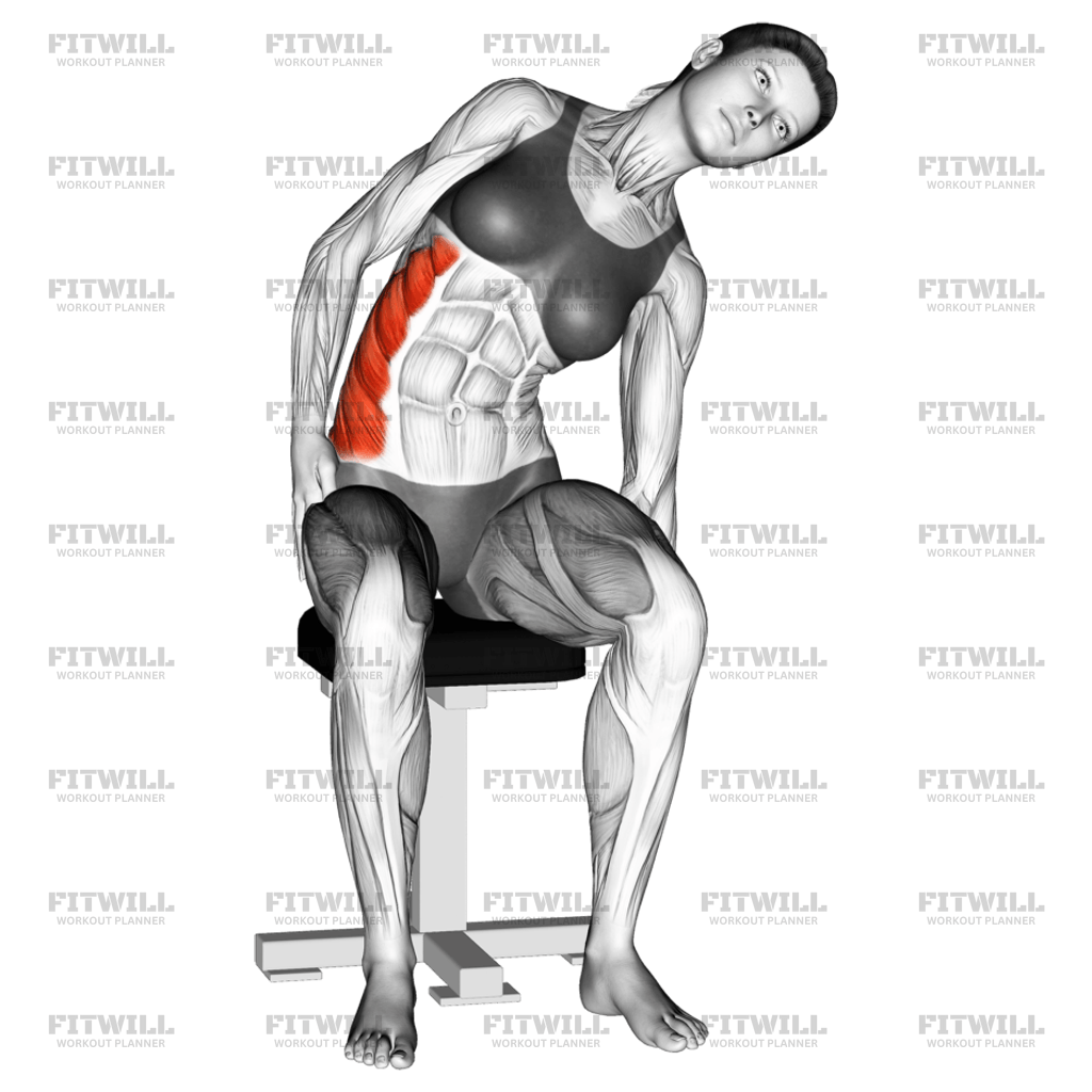 Sitting Lateral Side Stretch: Exercise Guide, Techniques, Benefits, How ...