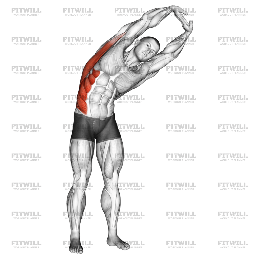 Standing Side Stretch: Exercise Guide, Techniques, Benefits, How to ...