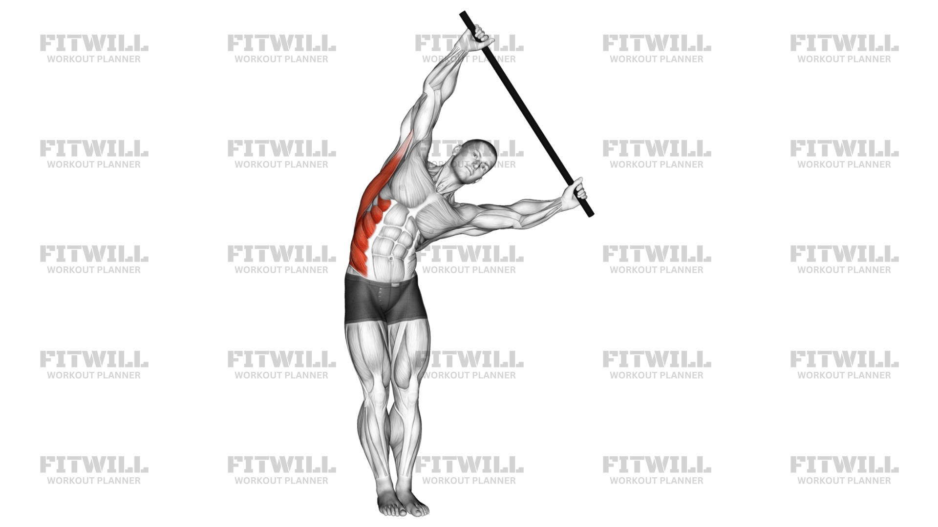 Standing Side Stretch With Stick: Exercise Guide, Techniques, Benefits ...