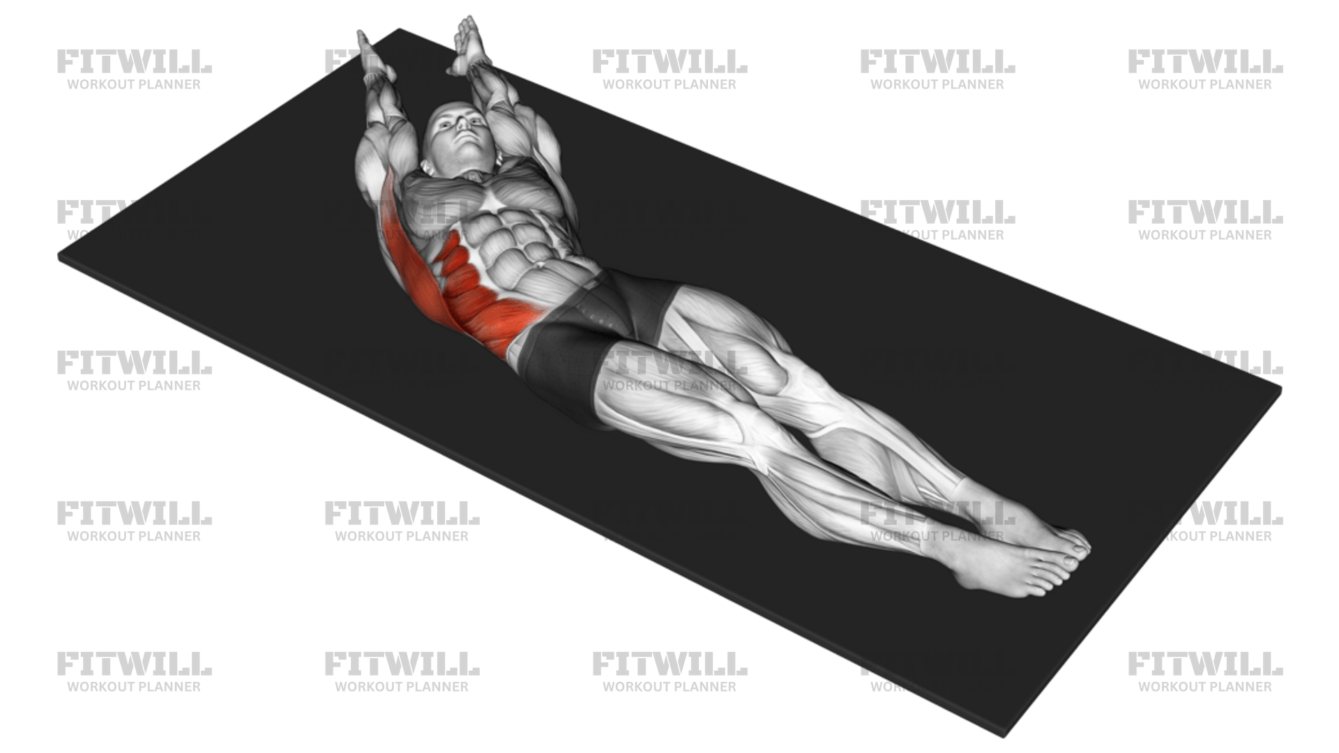 Lateral Bend Lying Down: Exercise Guide, Techniques, Benefits, How to ...