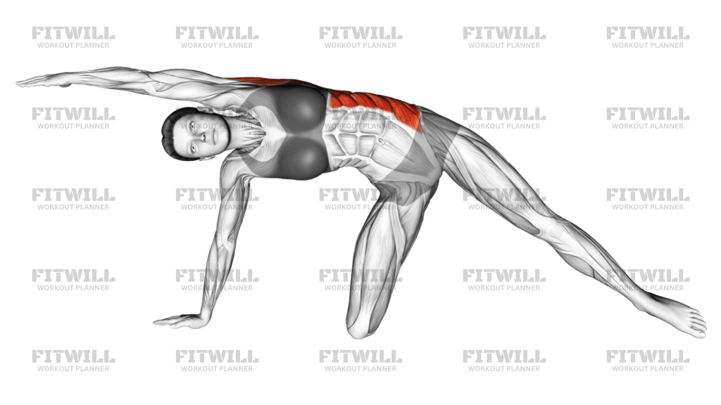Lateral Bend On Floor By Kneeing: Exercise Guide, Techniques, Benefits ...