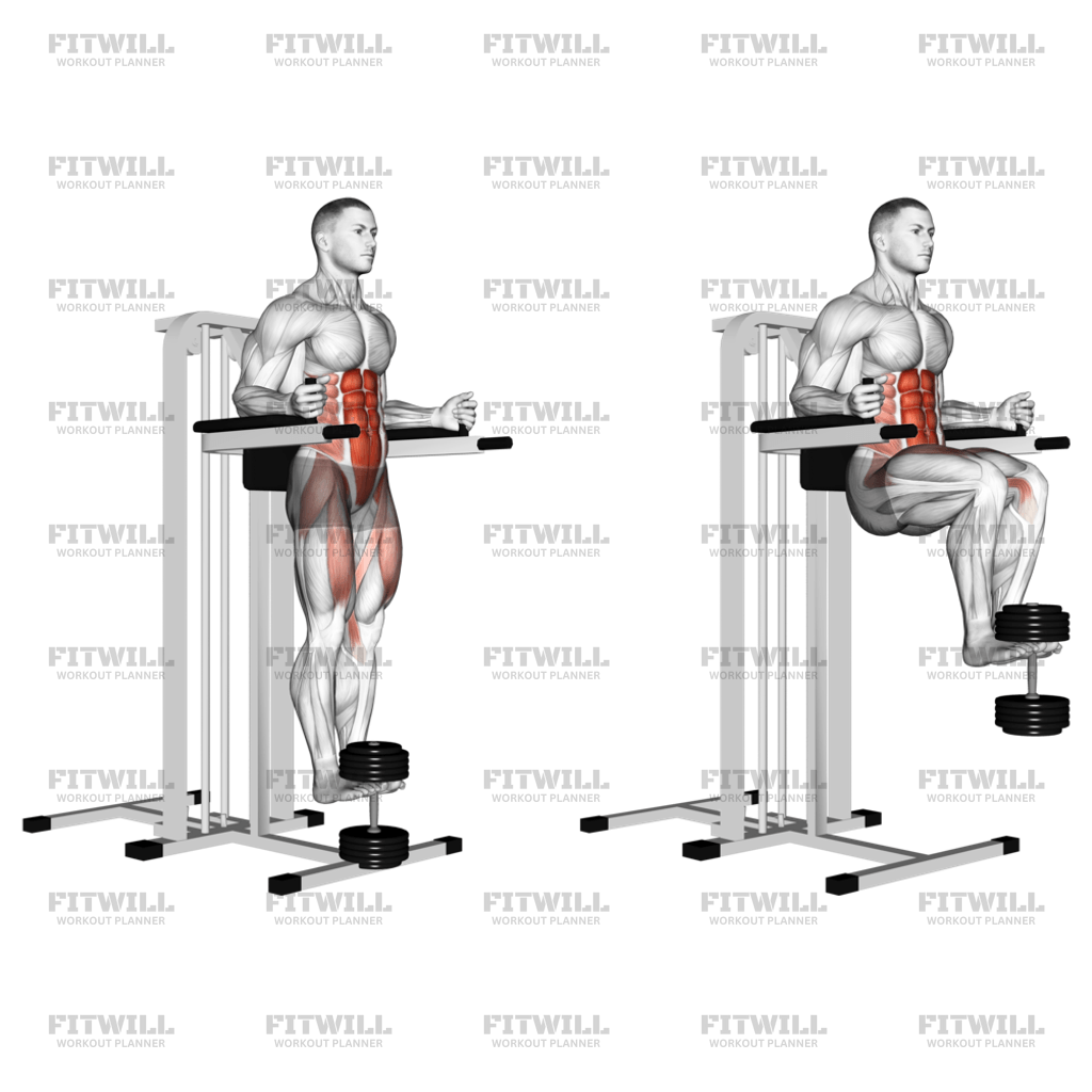 Weighted Captains Chair Leg Raise: Exercise Guide, Video, Techniques ...