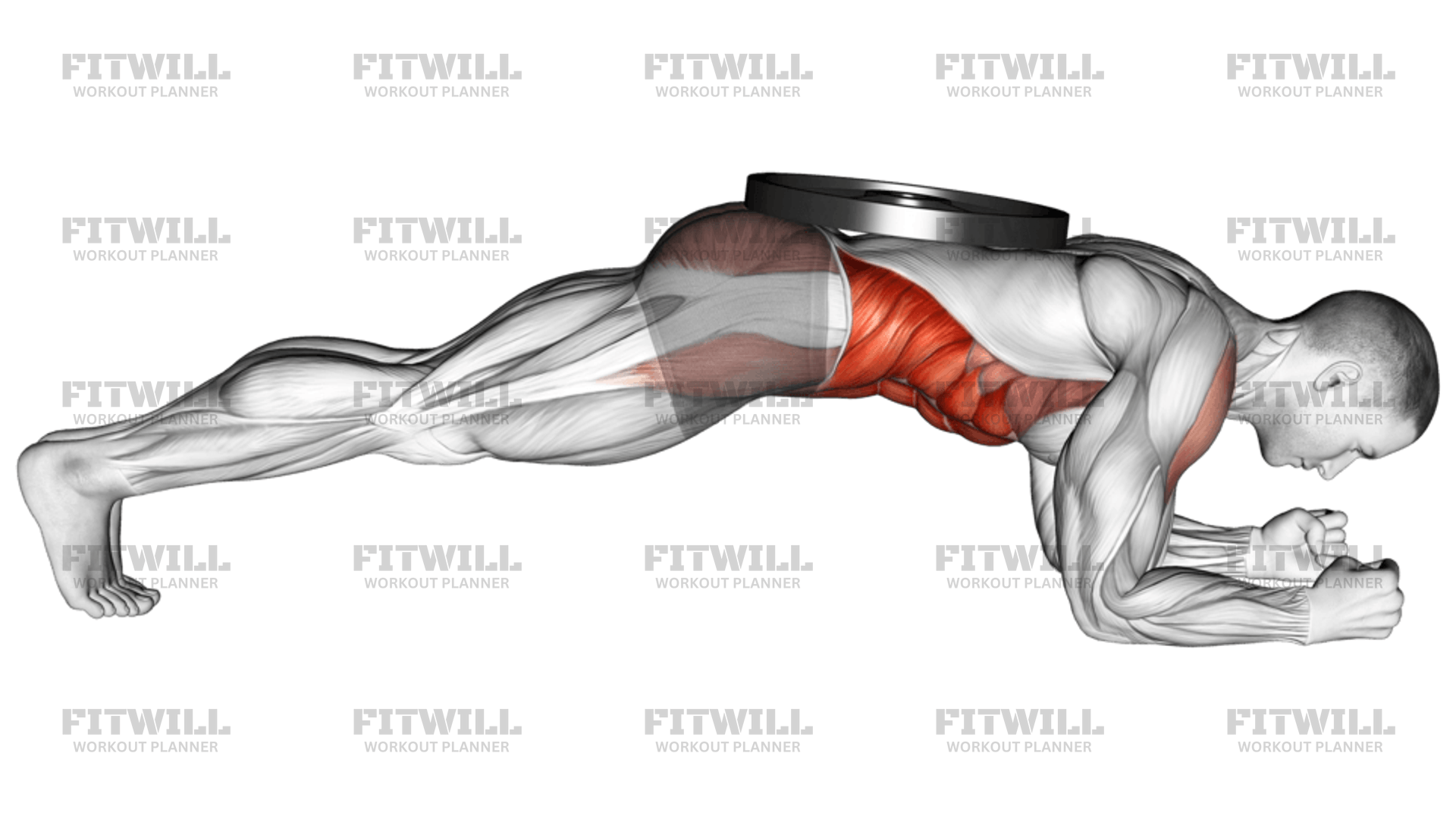 Weighted Front Plank: Exercise Guide, Video, Techniques, Benefits, How ...
