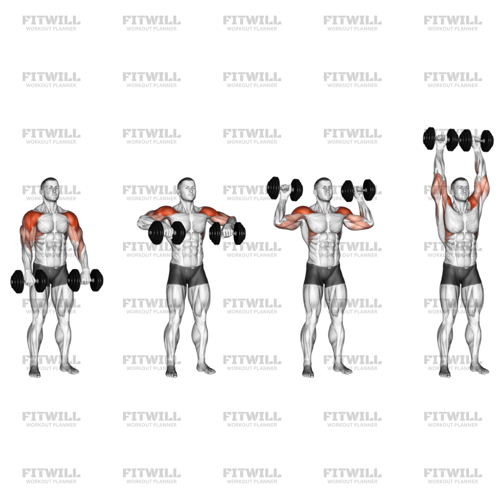 Dumbbell Cuban Press (version 2): Exercise Guide, Video, Techniques ...