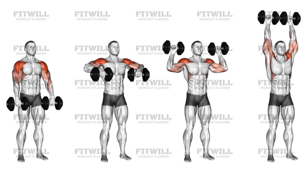 Dumbbell Cuban Press (version 2): Exercise Guide, Video, Techniques ...