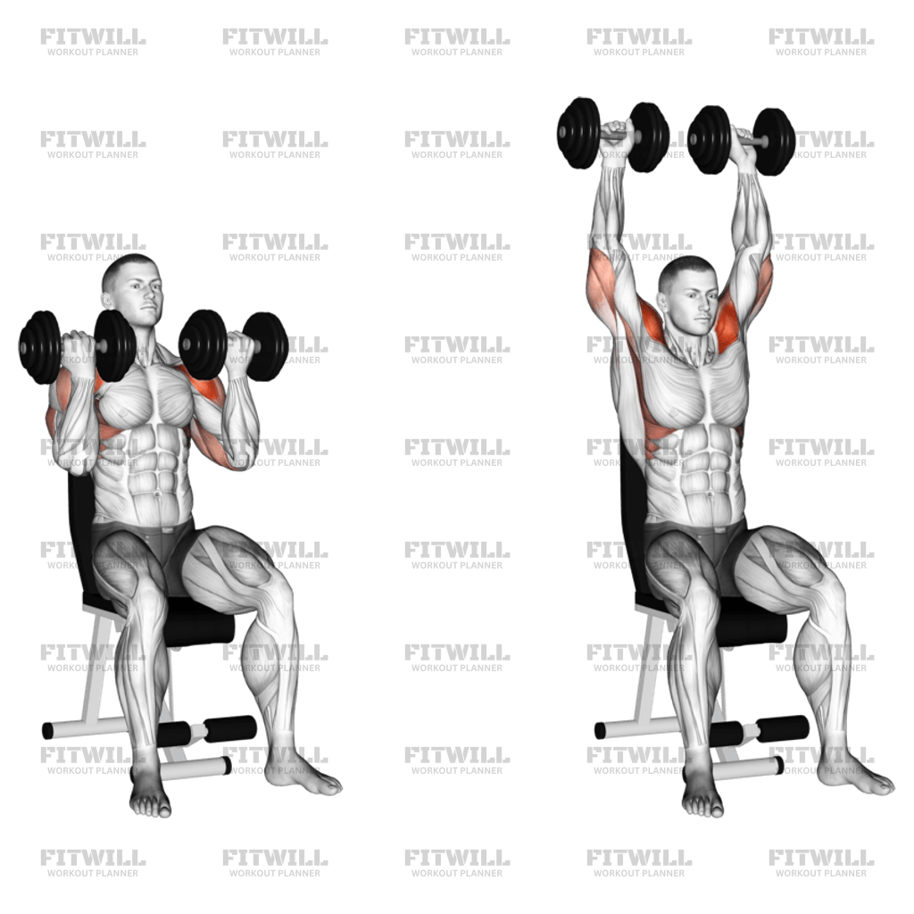 Dumbbell Arnold Press: Exercise Guide, Video, Techniques, Benefits, How ...
