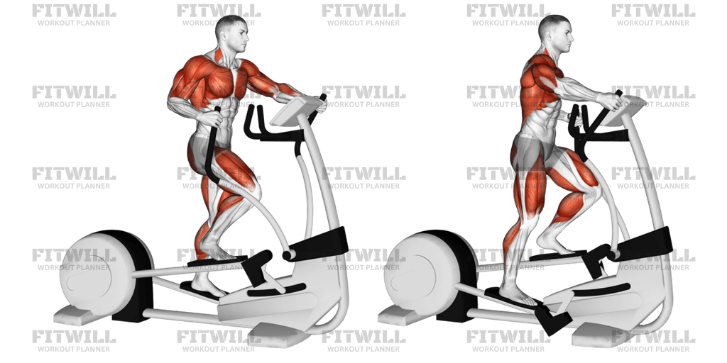 Walk Elliptical Cross Trainer: Exercise Guide, Video, Techniques ...