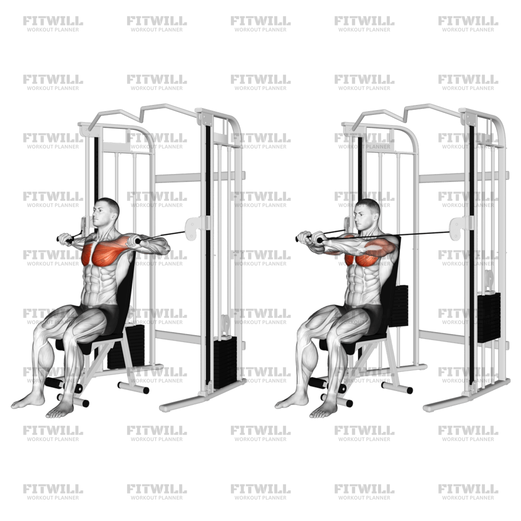 Cable Seated Chest Press: Exercise Guide, Techniques, Benefits, How to ...