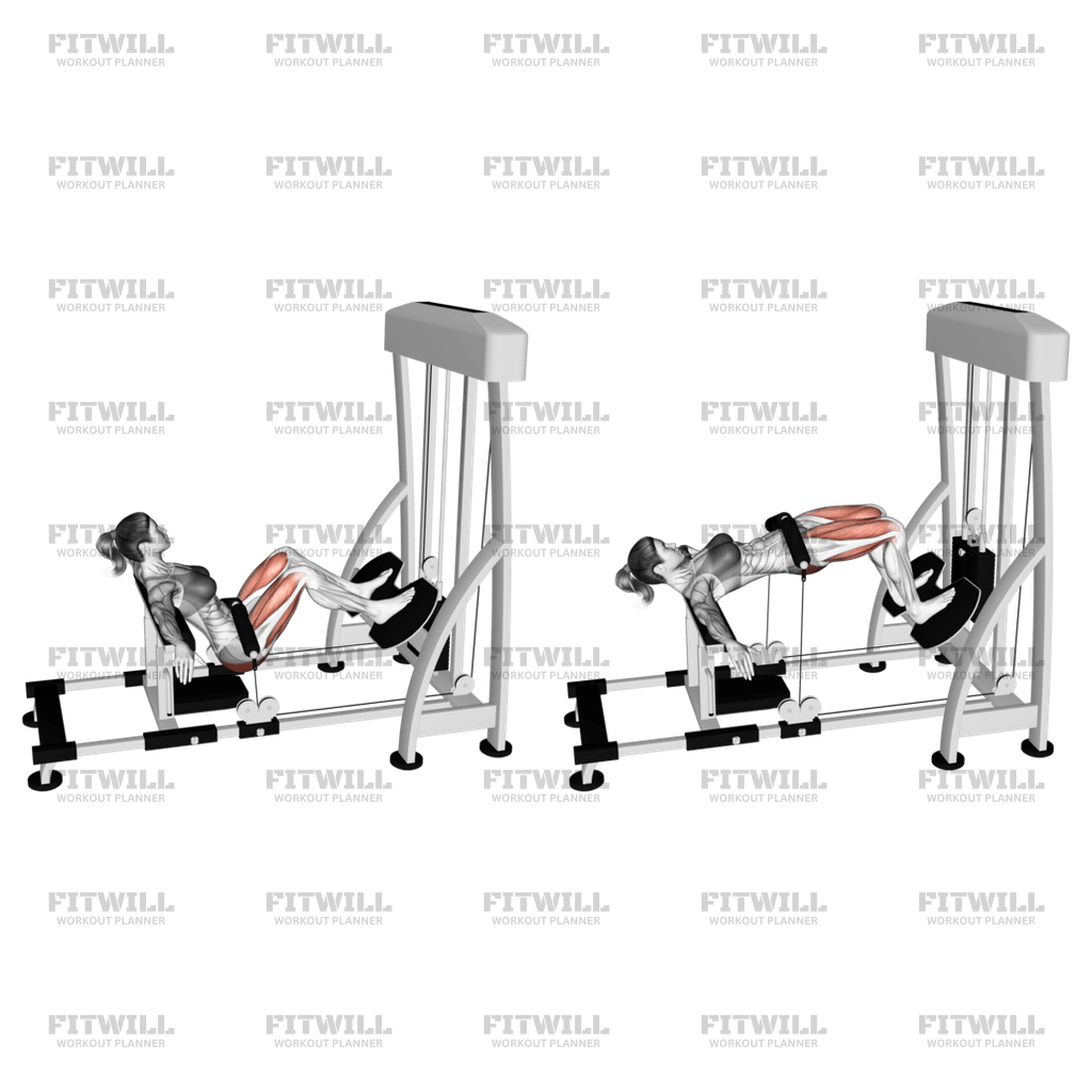 Lever Hip Thrust: Exercise Guide, Video, Techniques, Benefits, How to ...