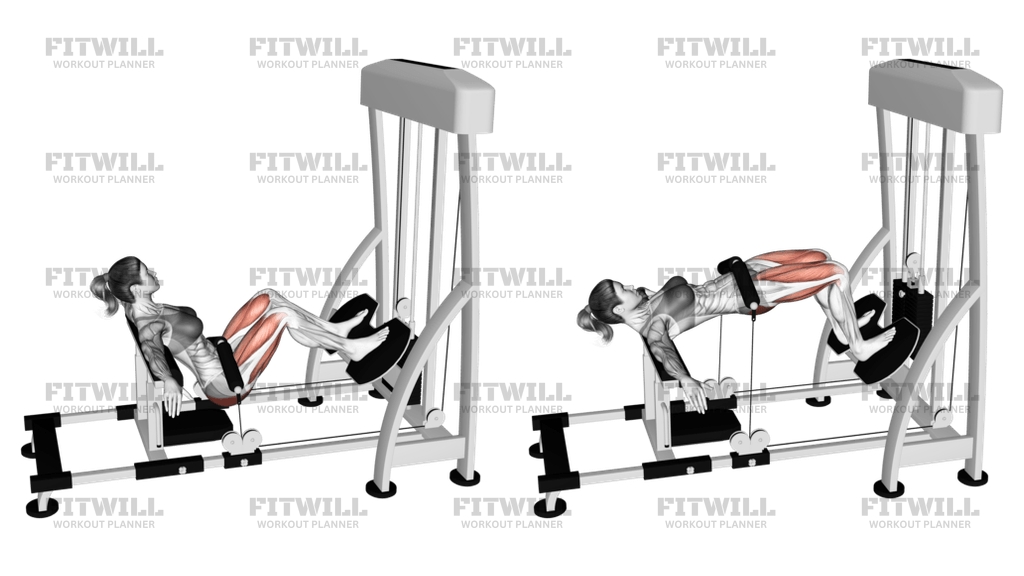 Lever Hip Thrust: Exercise Guide, Video, Techniques, Benefits, How to ...