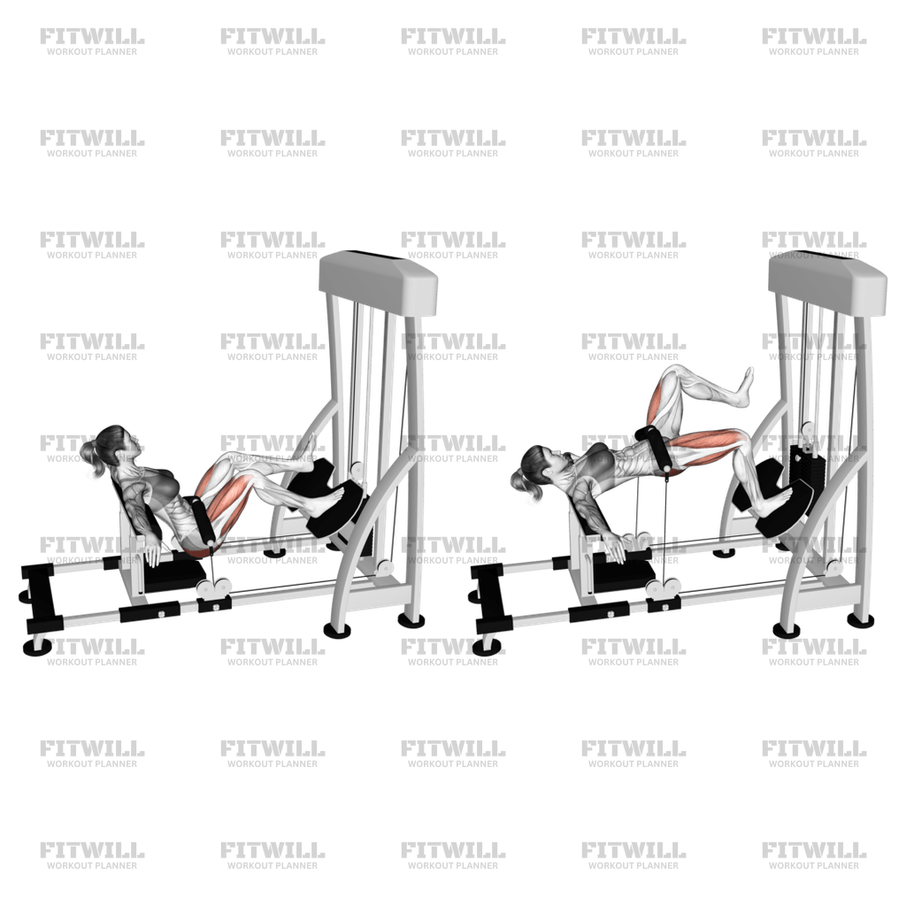 Lever Single Leg Hip Thrust: Exercise Guide, Techniques, Benefits, How ...