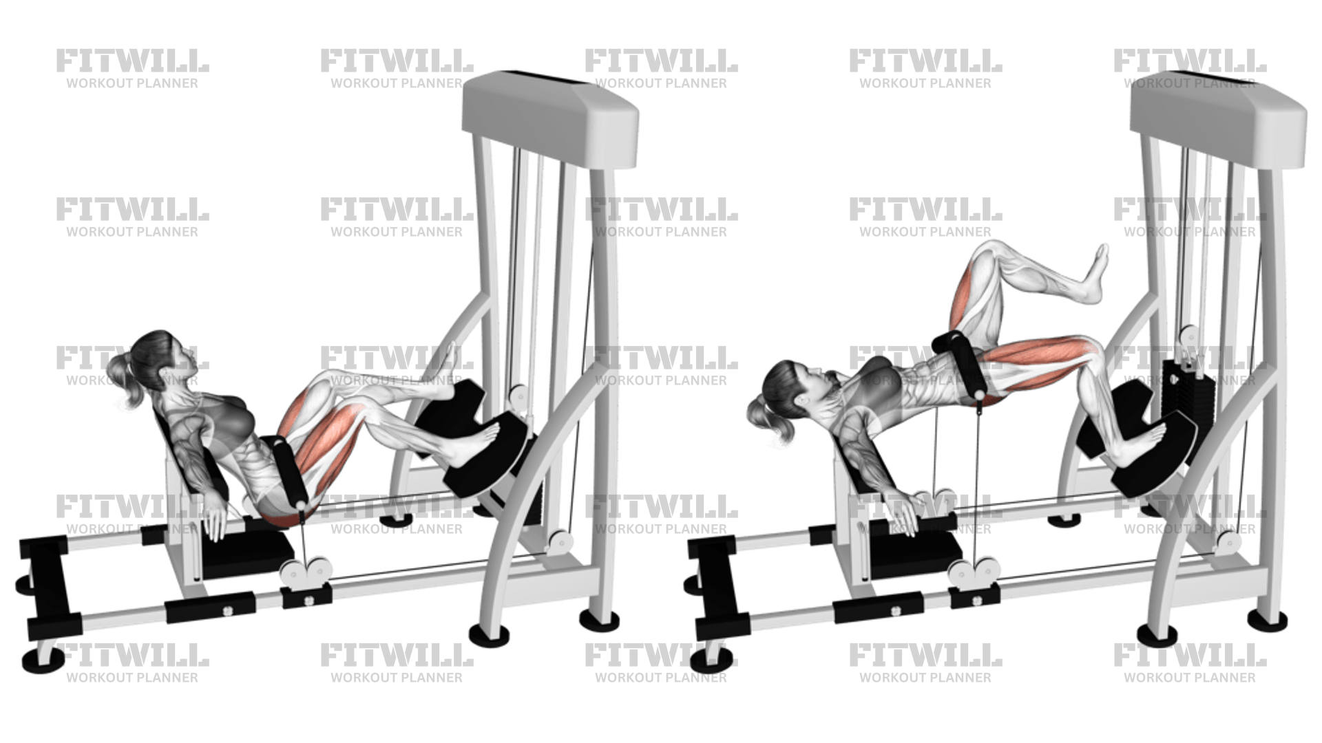 Lever Single Leg Hip Thrust: Exercise Guide, Techniques, Benefits, How ...