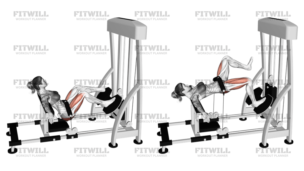 Lever Single Leg Hip Thrust: Exercise Guide, Techniques, Benefits, How ...