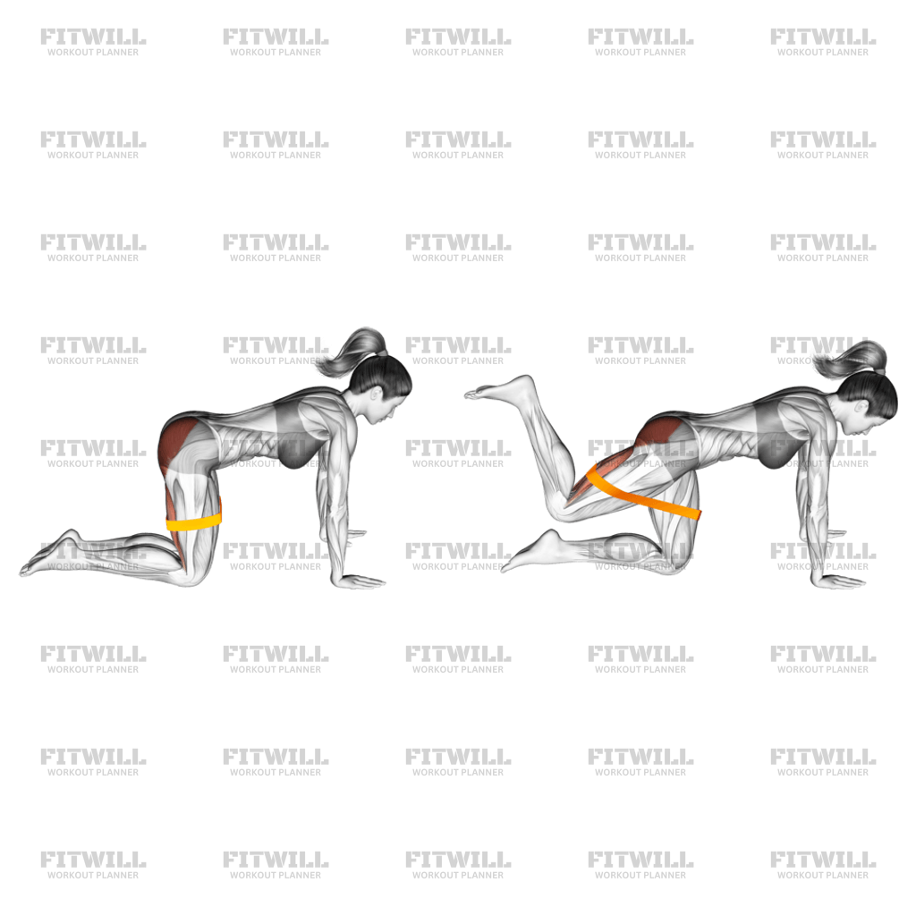 Patada Con Banda De Resistencia Y Pierna Flexionada (De Rodillas): Guía ...