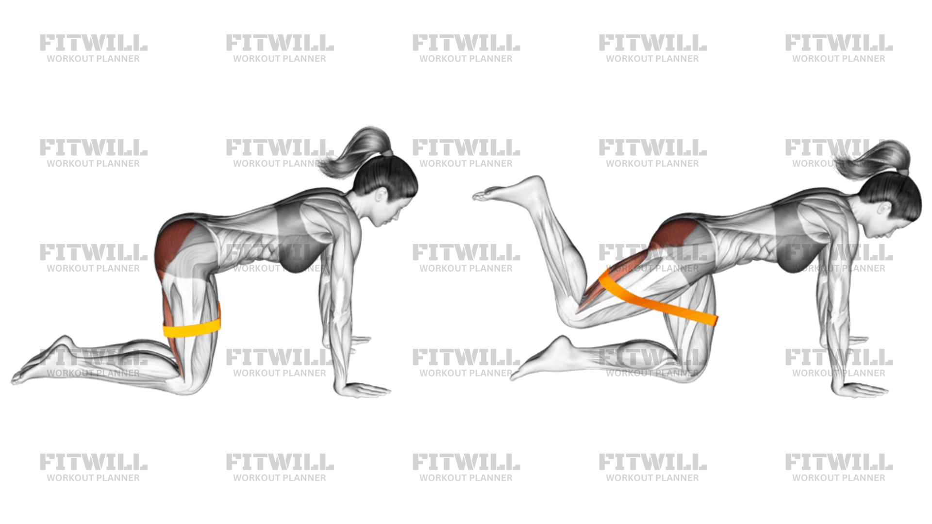 Resistance Band Bent Leg Kickback (Kneeling): Exercise Guide, Video ...