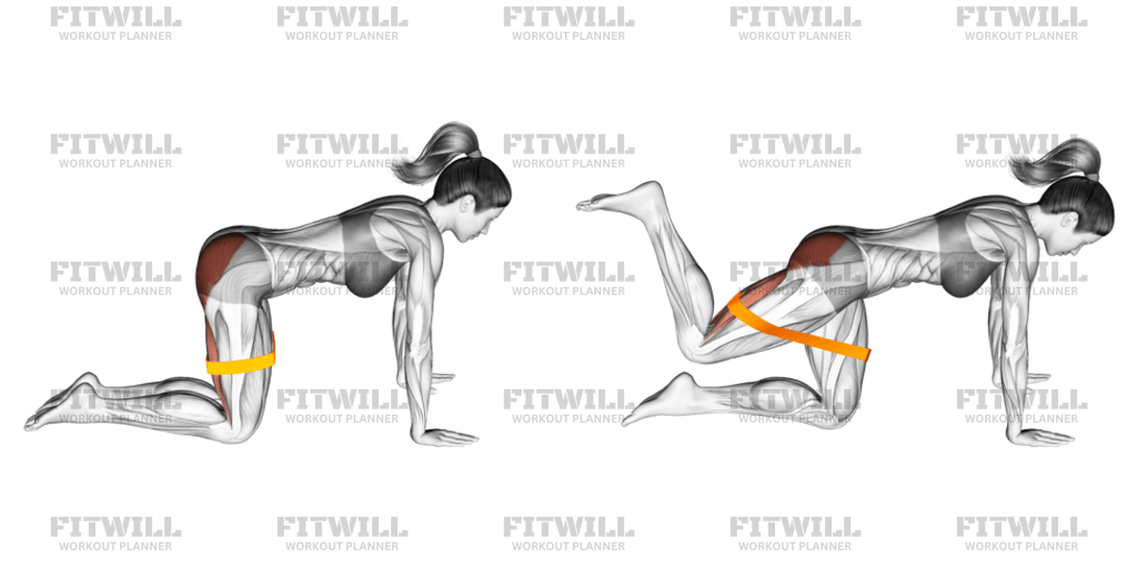 Kneeling Resistance Band Bent Leg Kickback: Exercise Guide, Video ...