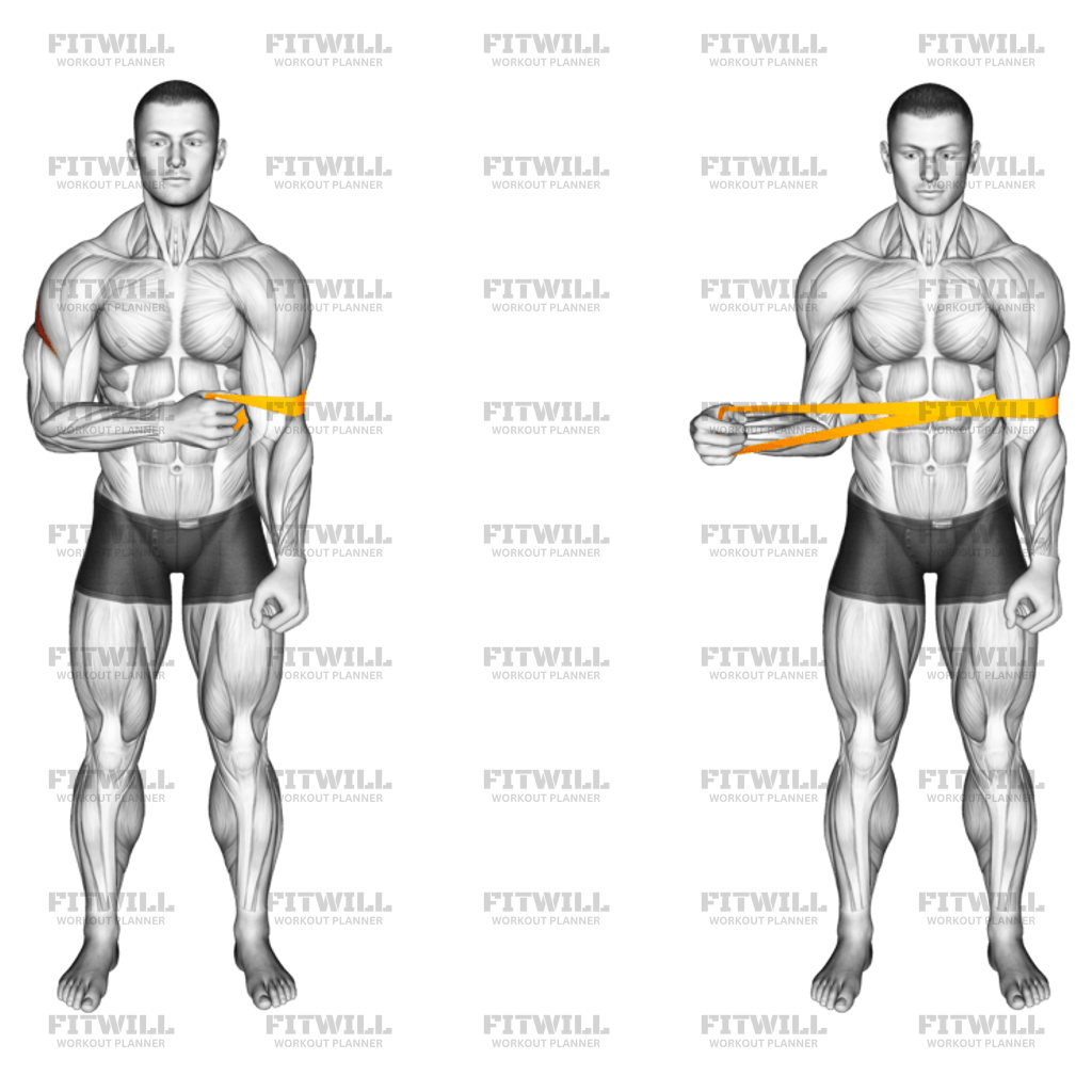 Resistance Band External Rotation: Exercise Guide, Techniques, Benefits ...