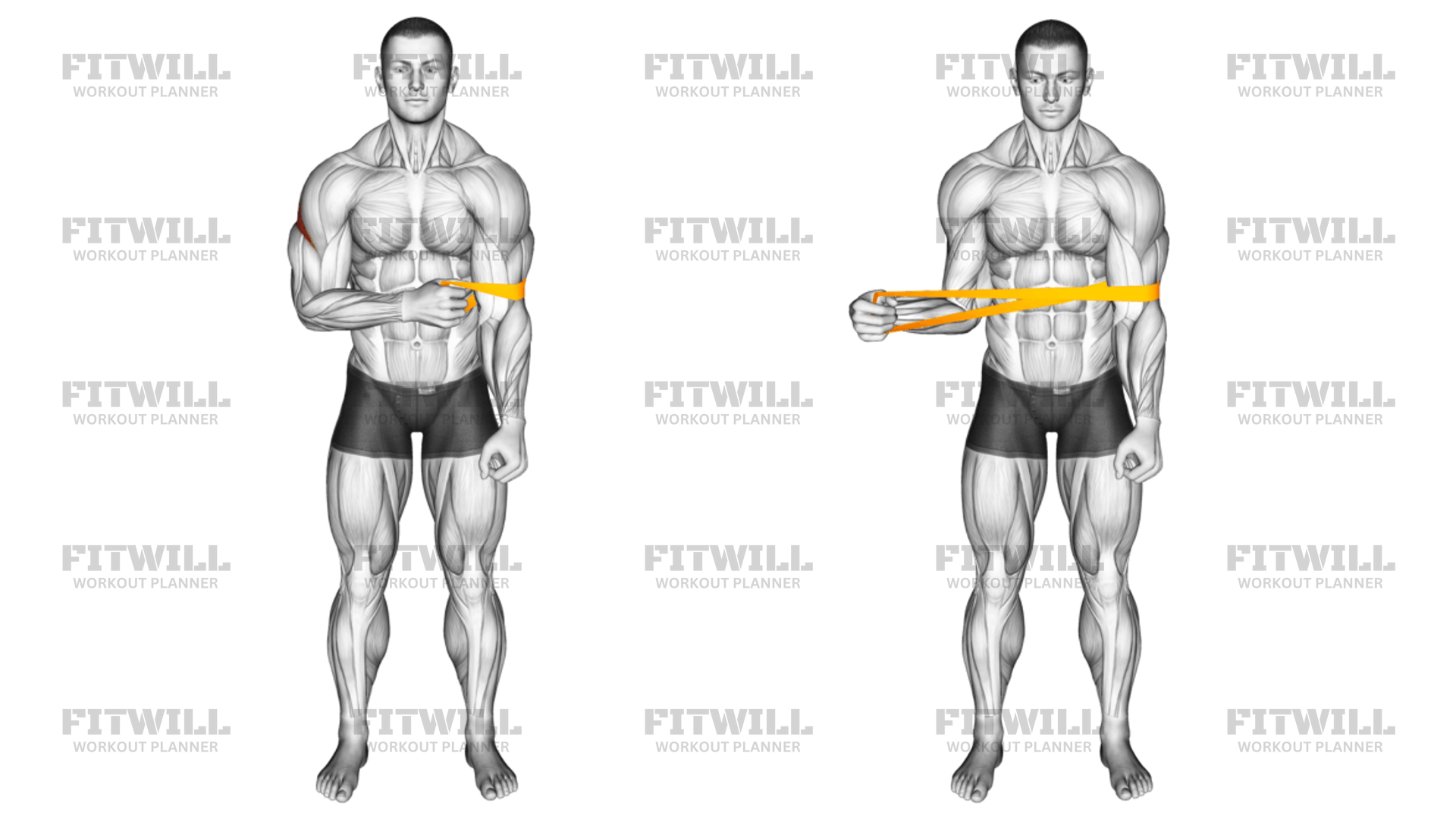 Rotación Externa Con Banda De Resistencia: Guía de Ejercicios, Técnicas ...
