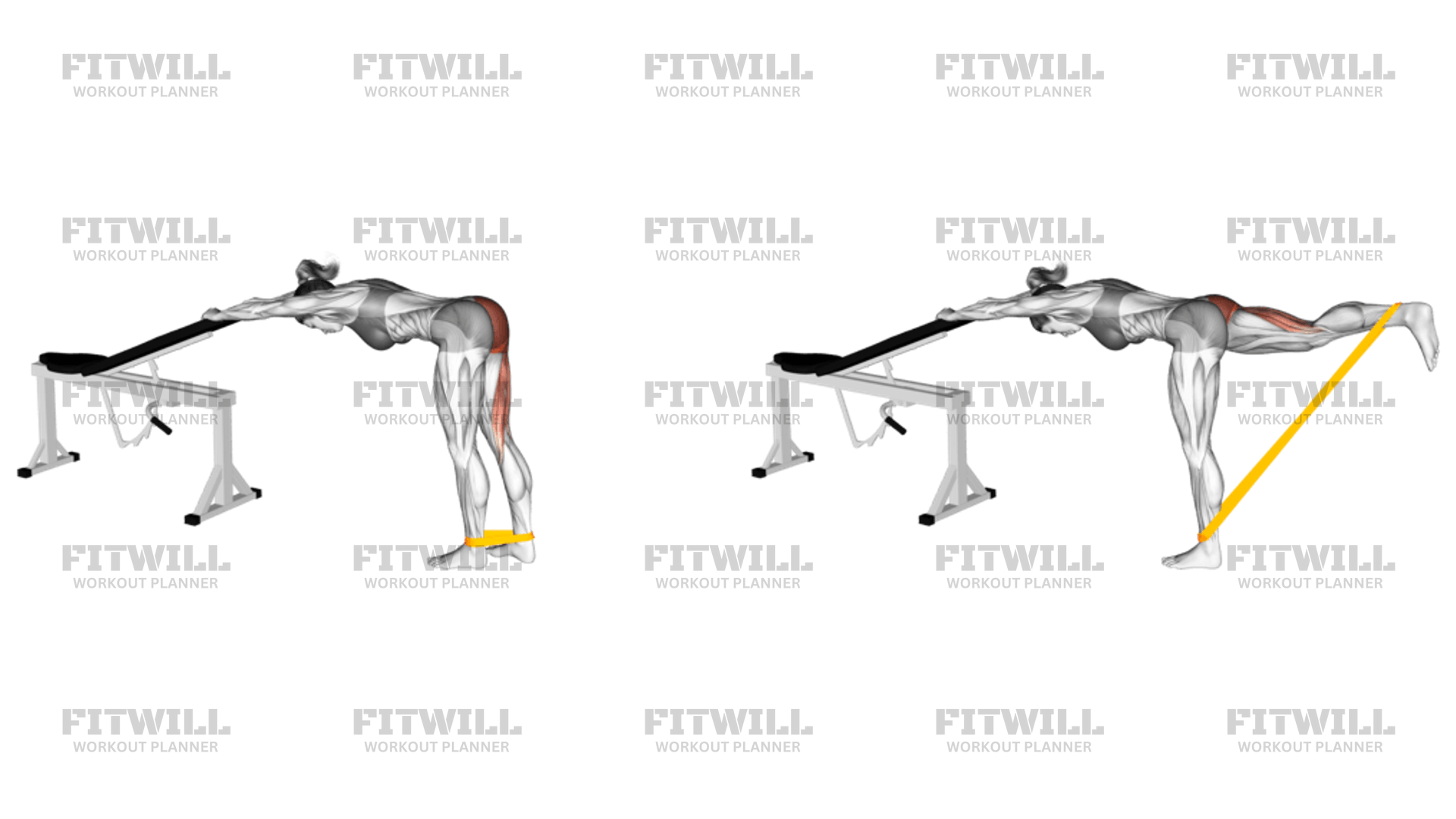 Resistance Band One Leg Kickback (Bent Position): Exercise Guide, Video ...