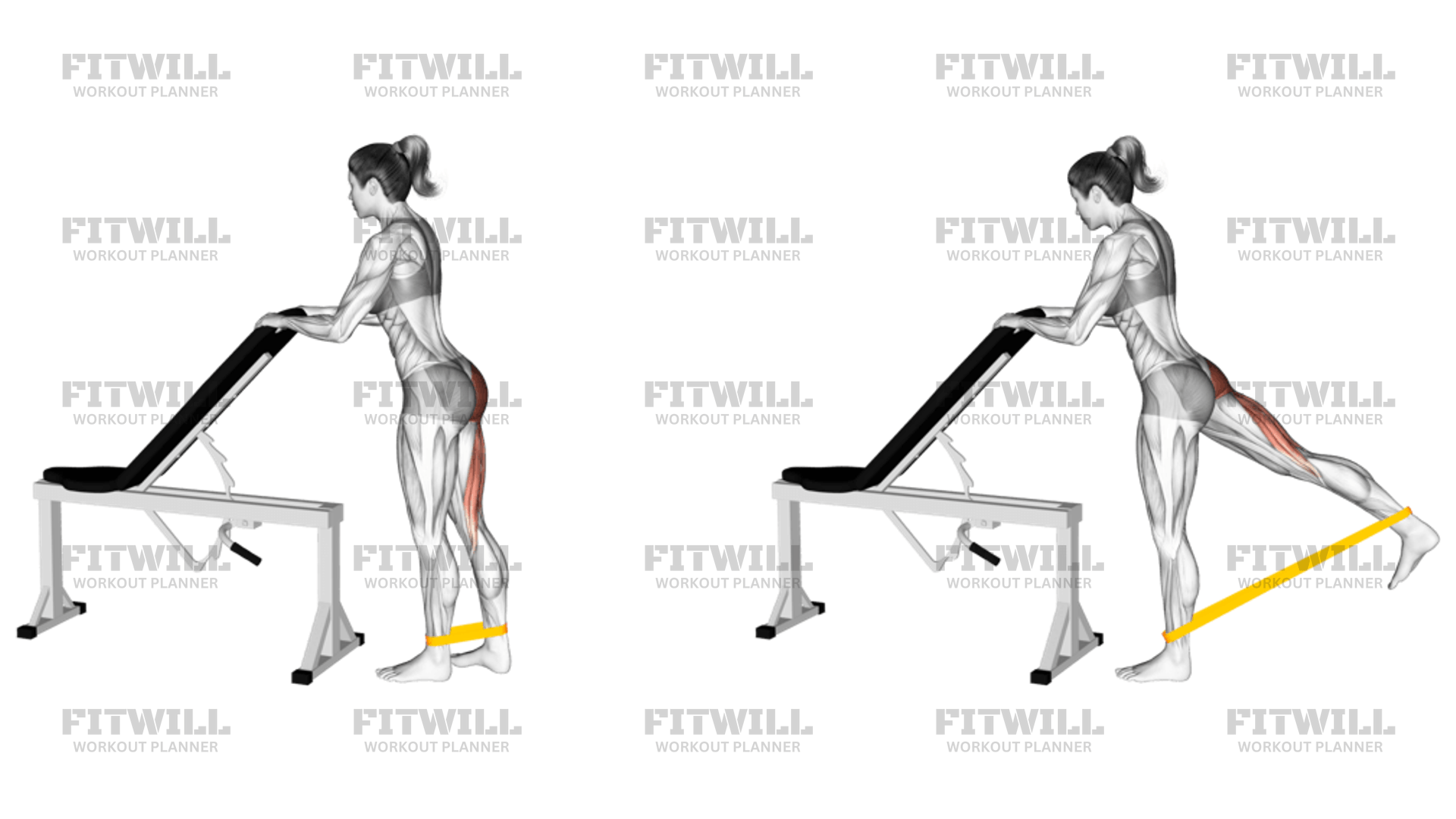 Patada Hacia Atrás Con Banda De Resistencia En Una Pierna: Guía de ...