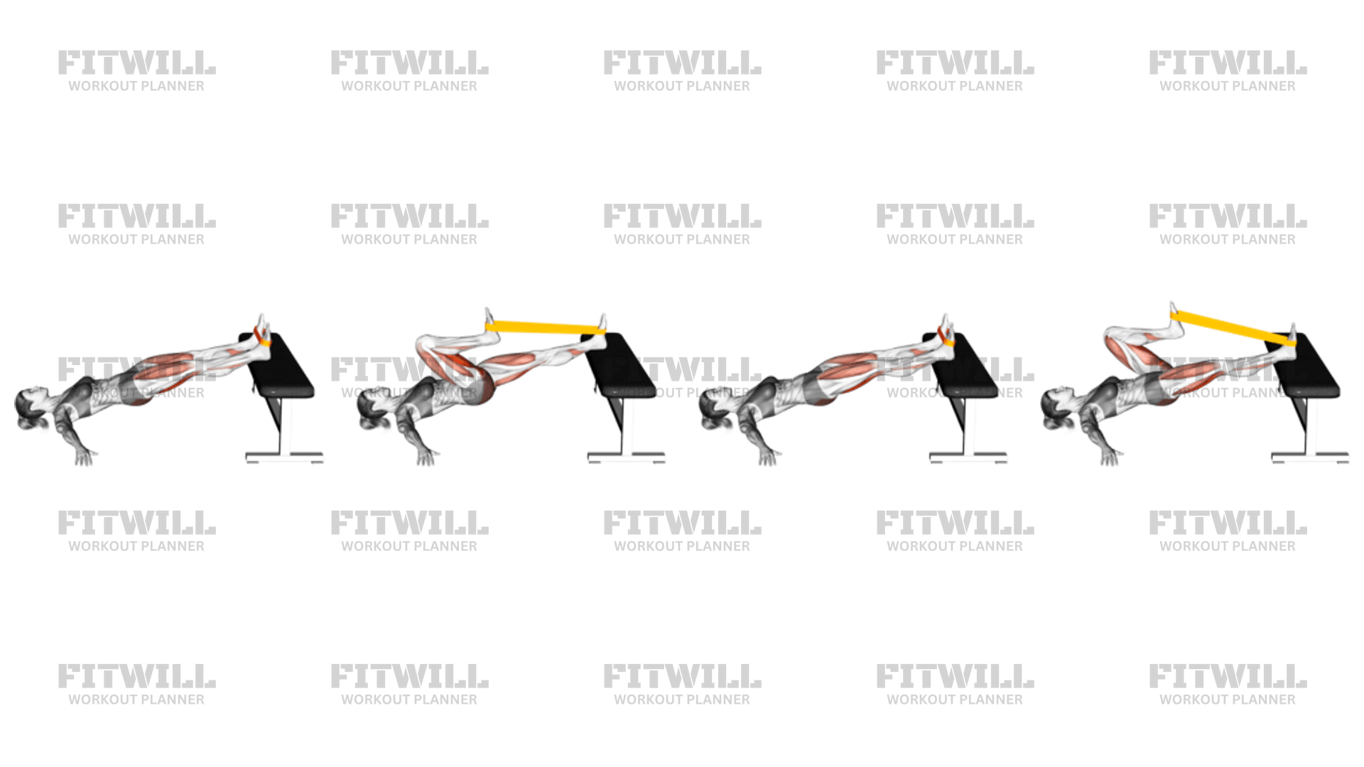Resistance Band Supine Hip Bridge March: Exercise Guide, Techniques ...