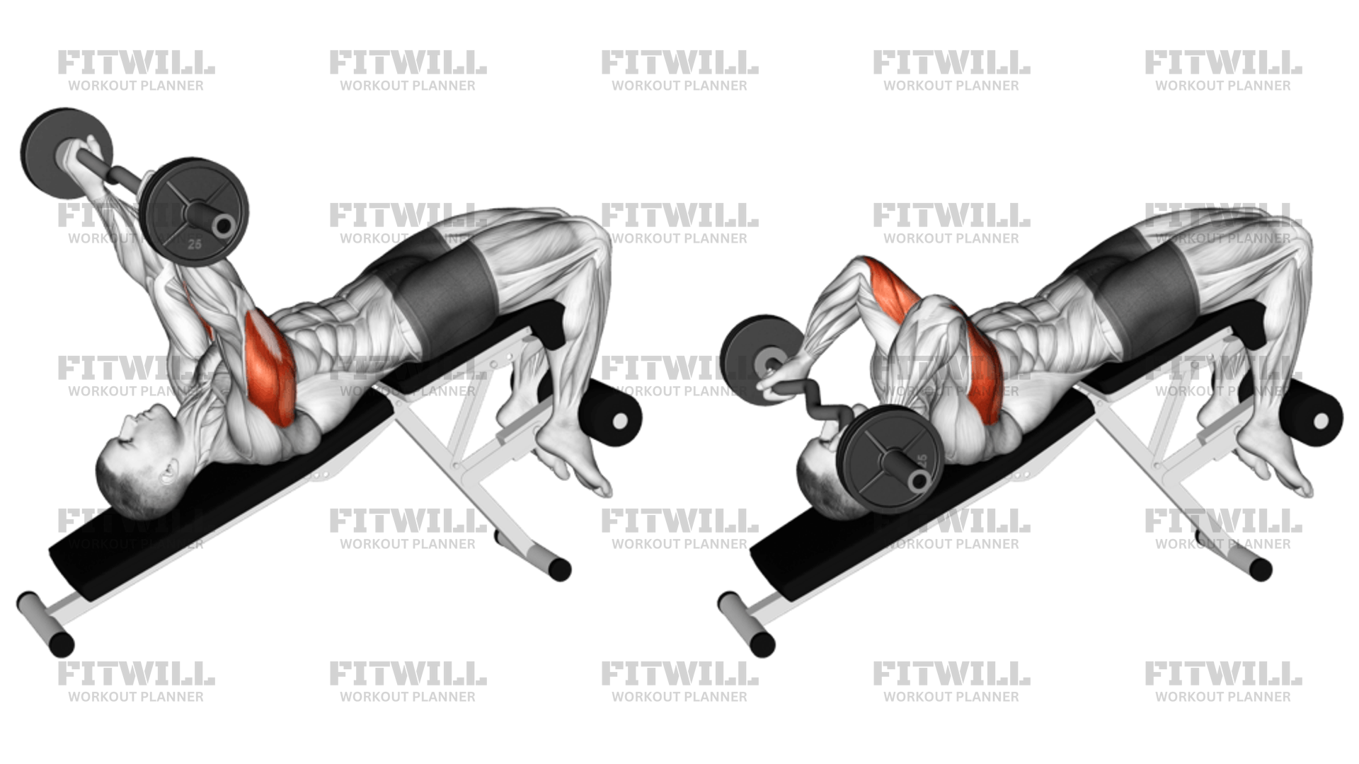 EZ Barbell Decline Triceps Extension: Exercise Guide, Video, Techniques ...