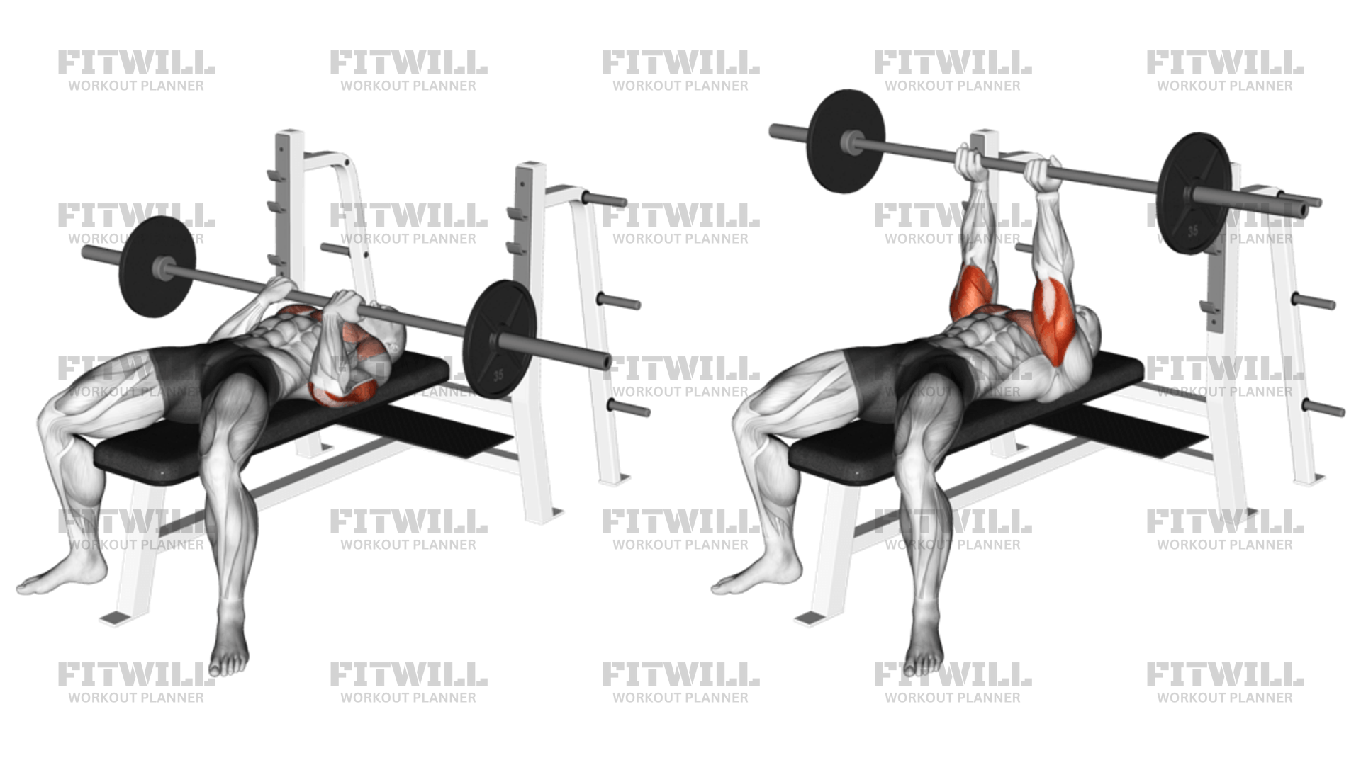 Barbell Reverse Close-grip Bench Press: Exercise Guide, Video ...