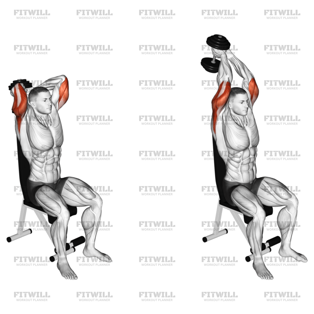 Dumbbell Seated Triceps Extension: Exercise Guide, Video, Techniques ...