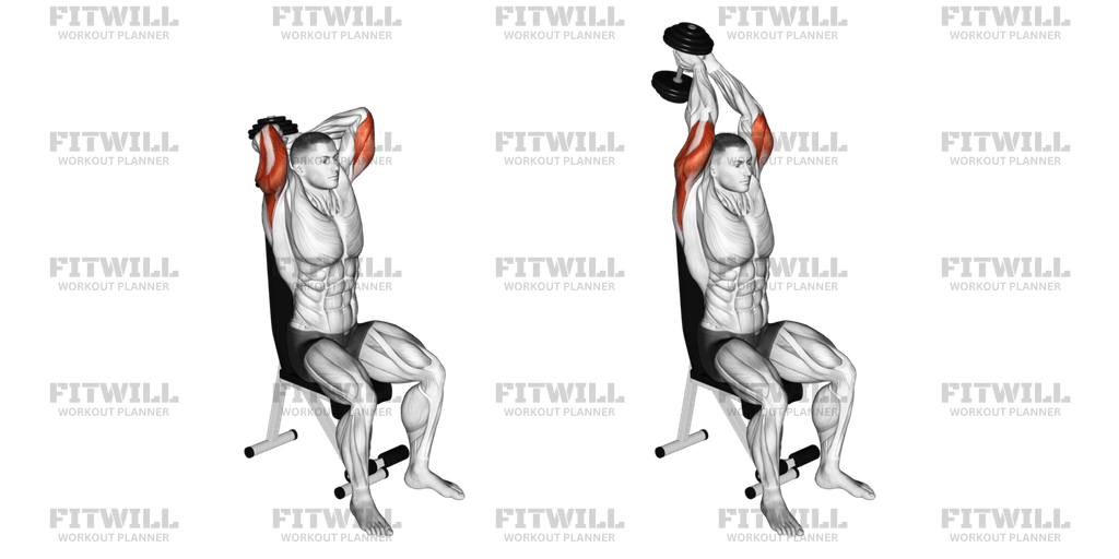 Dumbbell Seated Triceps Extension: Exercise Guide, Video, Techniques ...