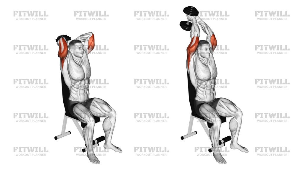 Dumbbell Seated Triceps Extension: Exercise Guide, Video, Techniques ...