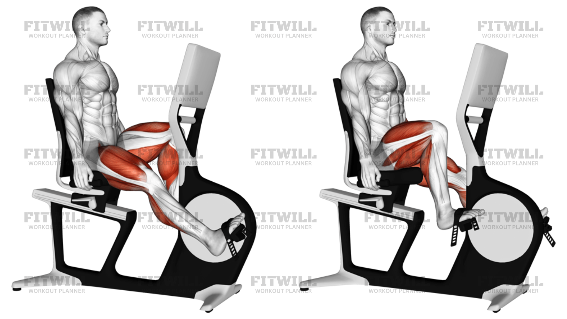 Bicycle Recline Walk: Exercise Guide, Video, Techniques, Benefits, How ...