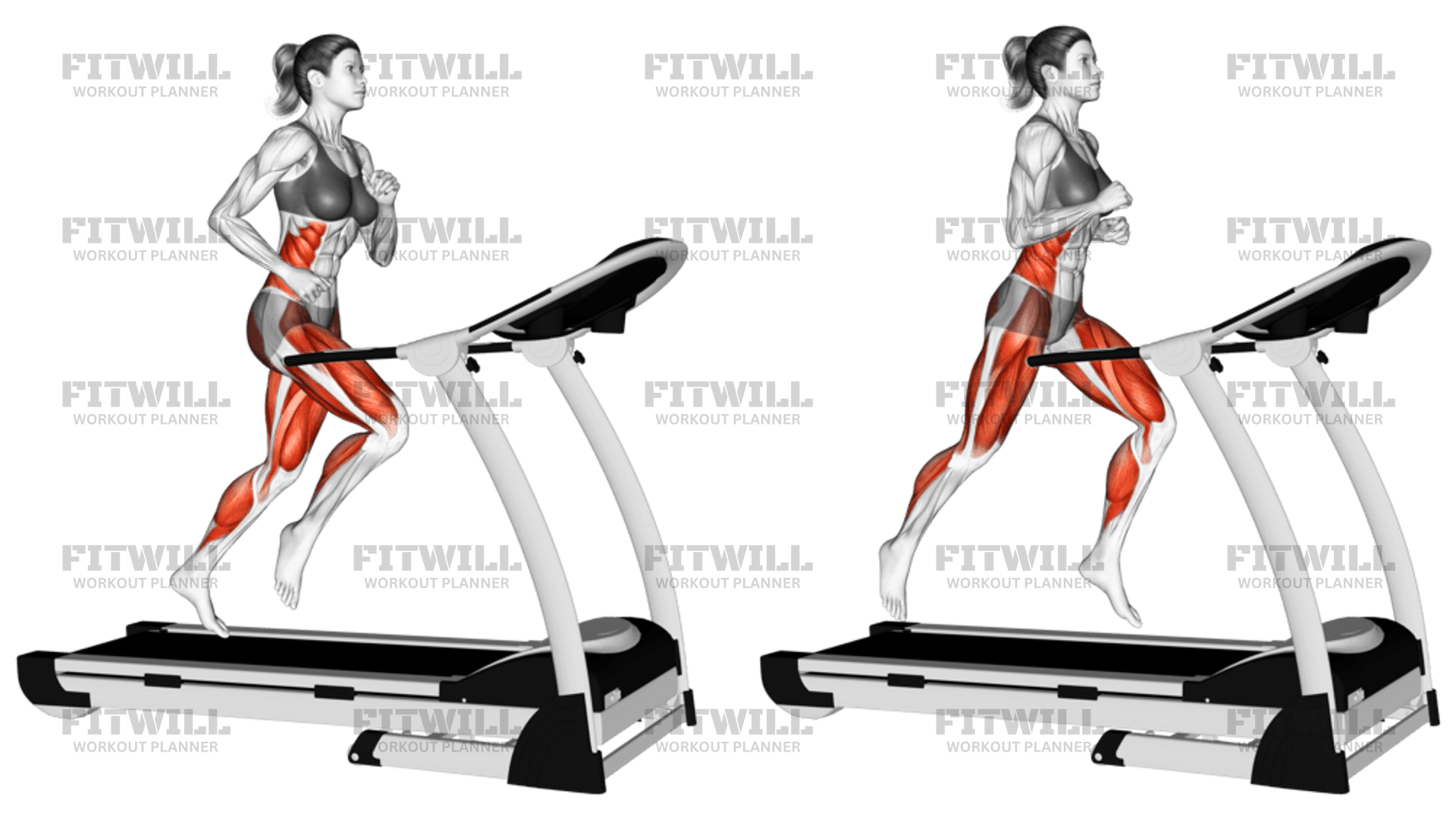 Correr En La Cinta De Correr: Guía de Ejercicios, Video, Técnicas ...