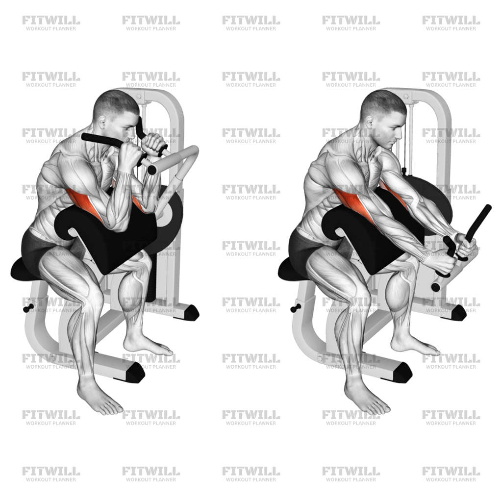 Lever Triceps Extension: Exercise Guide, Video, Techniques, Benefits ...