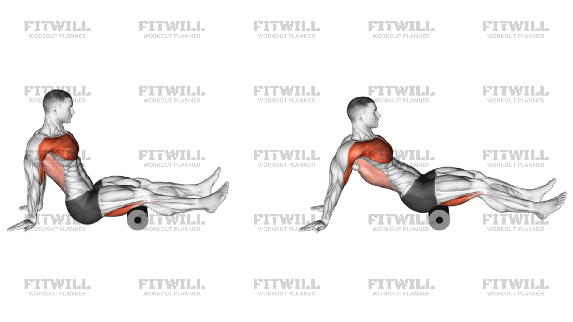 Rodillo Sentado Para Flexores, Depresores Y Retractores Del Hombro ...