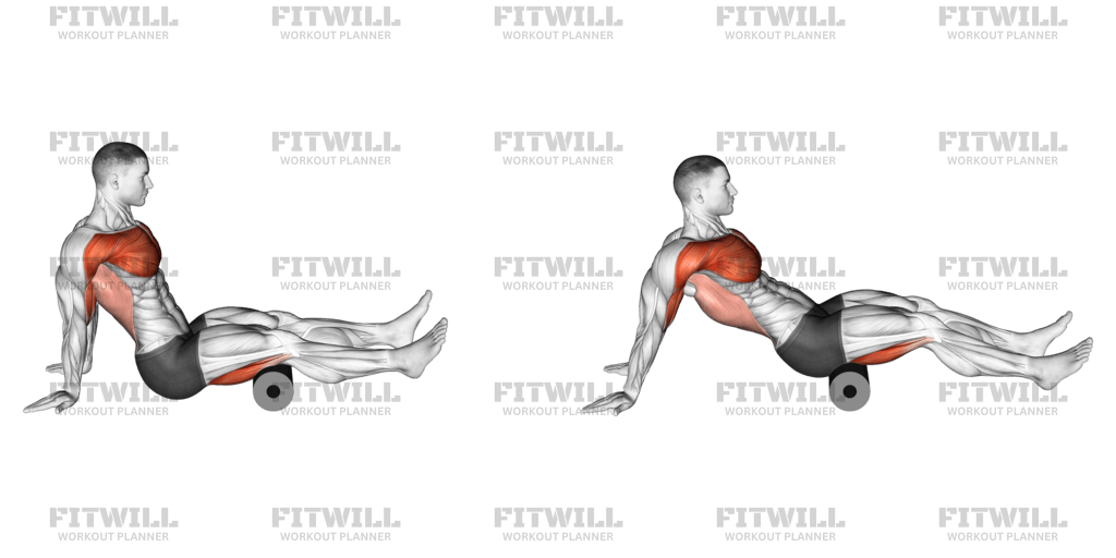 Roll Seated Shoulder Flexor Depresor Retractor: Exercise Guide, Video ...