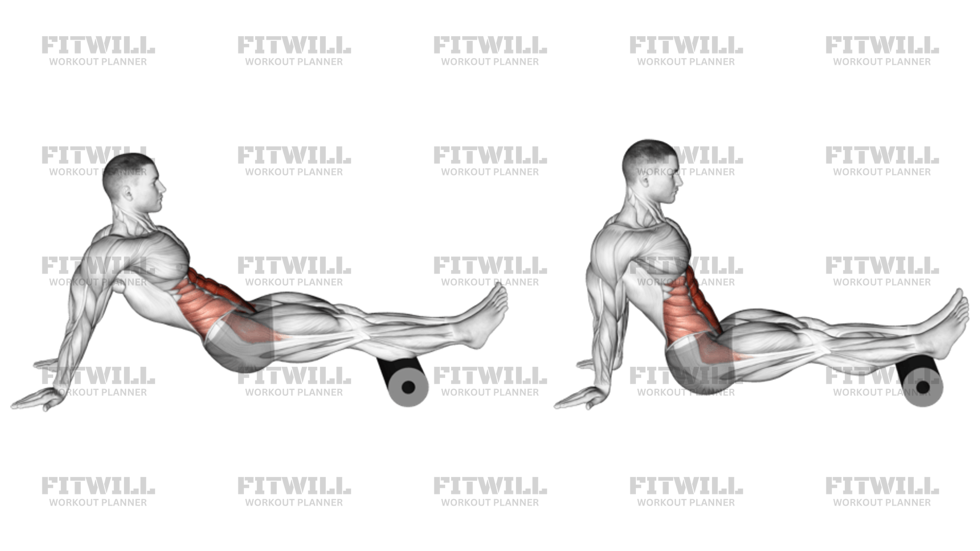 Roll Reverse Crunch: Exercise Guide, Video, Techniques, Benefits, How to, Muscles Worked, Tips ...