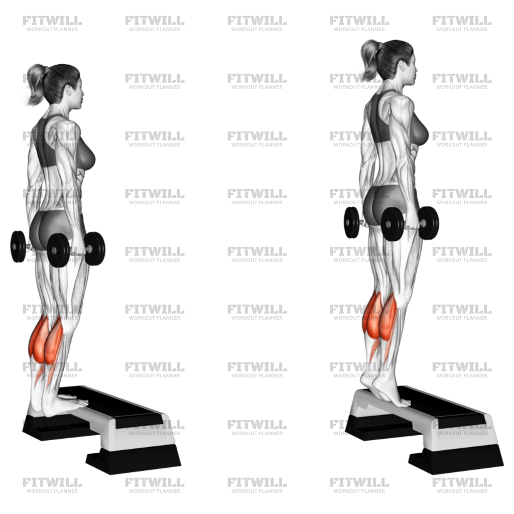 Dumbbell Standing Calf Raise: Exercise Guide, Video, Techniques ...