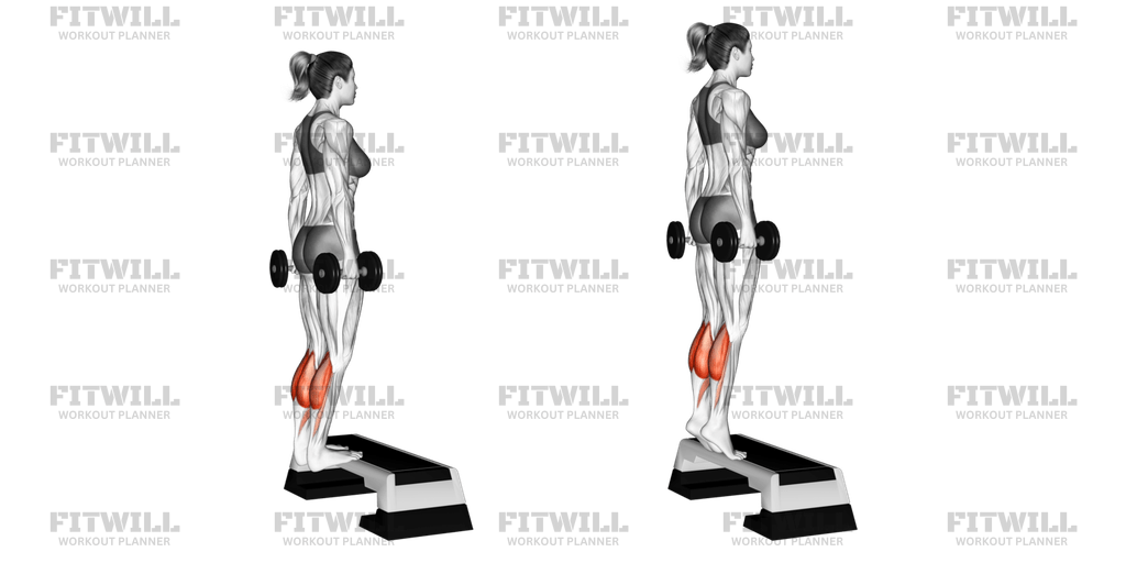 Dumbbell Standing Calf Raise Exercise Guide Video Techniques Benefits How To Muscles