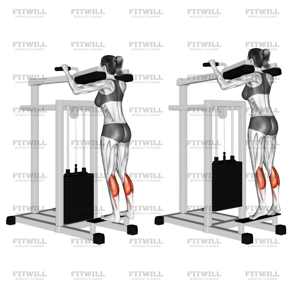 Lever Standing Calf Raise: Exercise Guide, Video, Techniques, Benefits ...