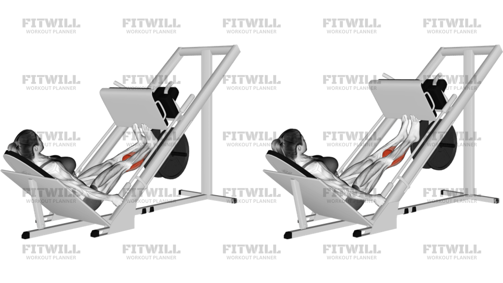 How to do Sled Calf Press On Leg Press: Techniques, Benefits, Tips ...
