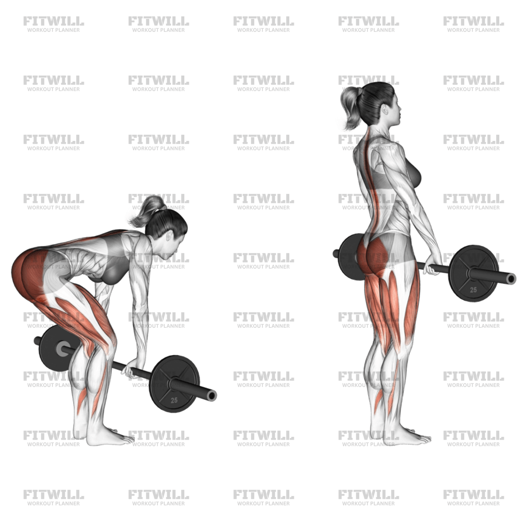 Peso Muerto Rumano Con Barra: Guía de Ejercicios, Video, Técnicas, Beneficios, Cómo Realizarlo ...