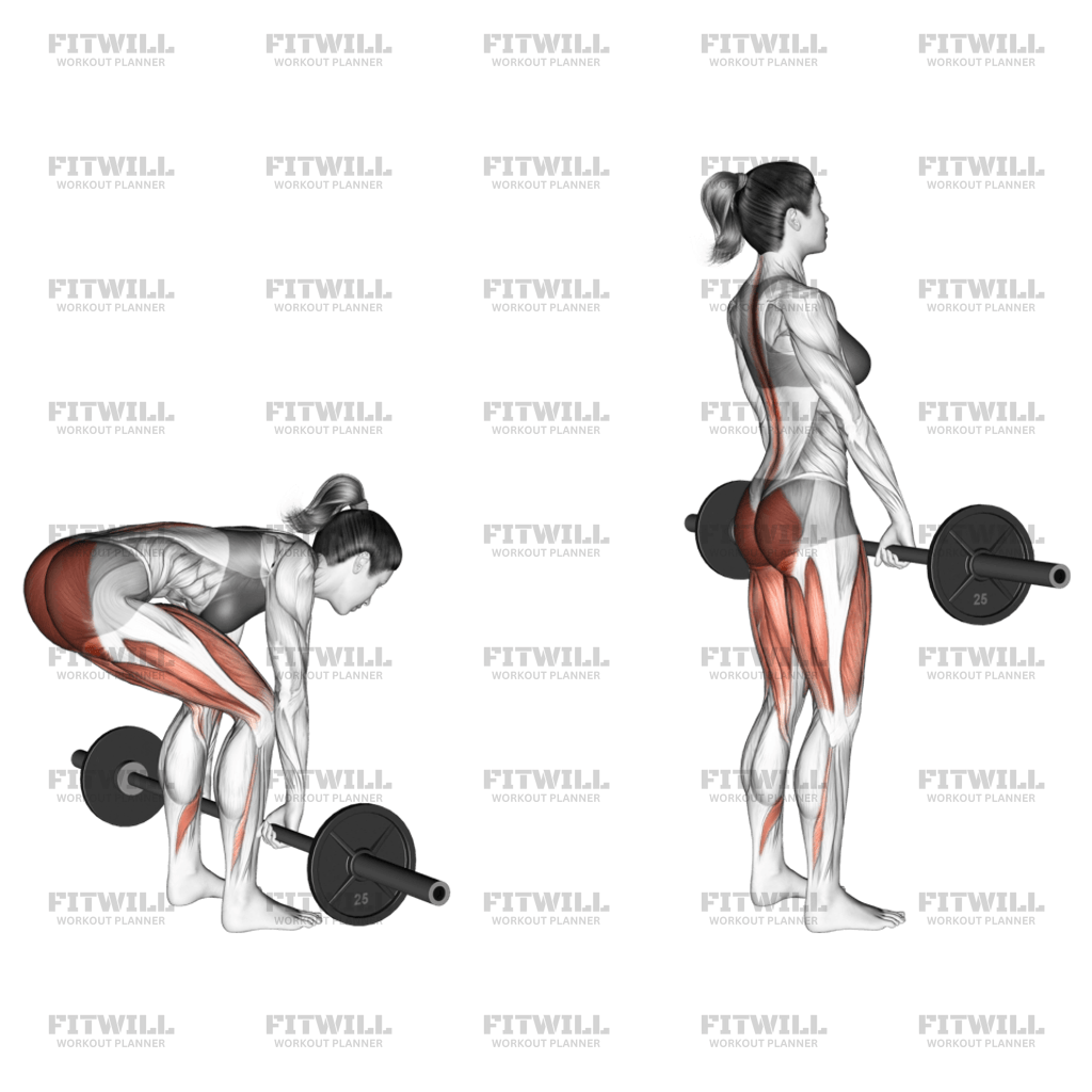 Barbell Deadlift: Exercise Guide, Video, Techniques, Benefits, How to ...