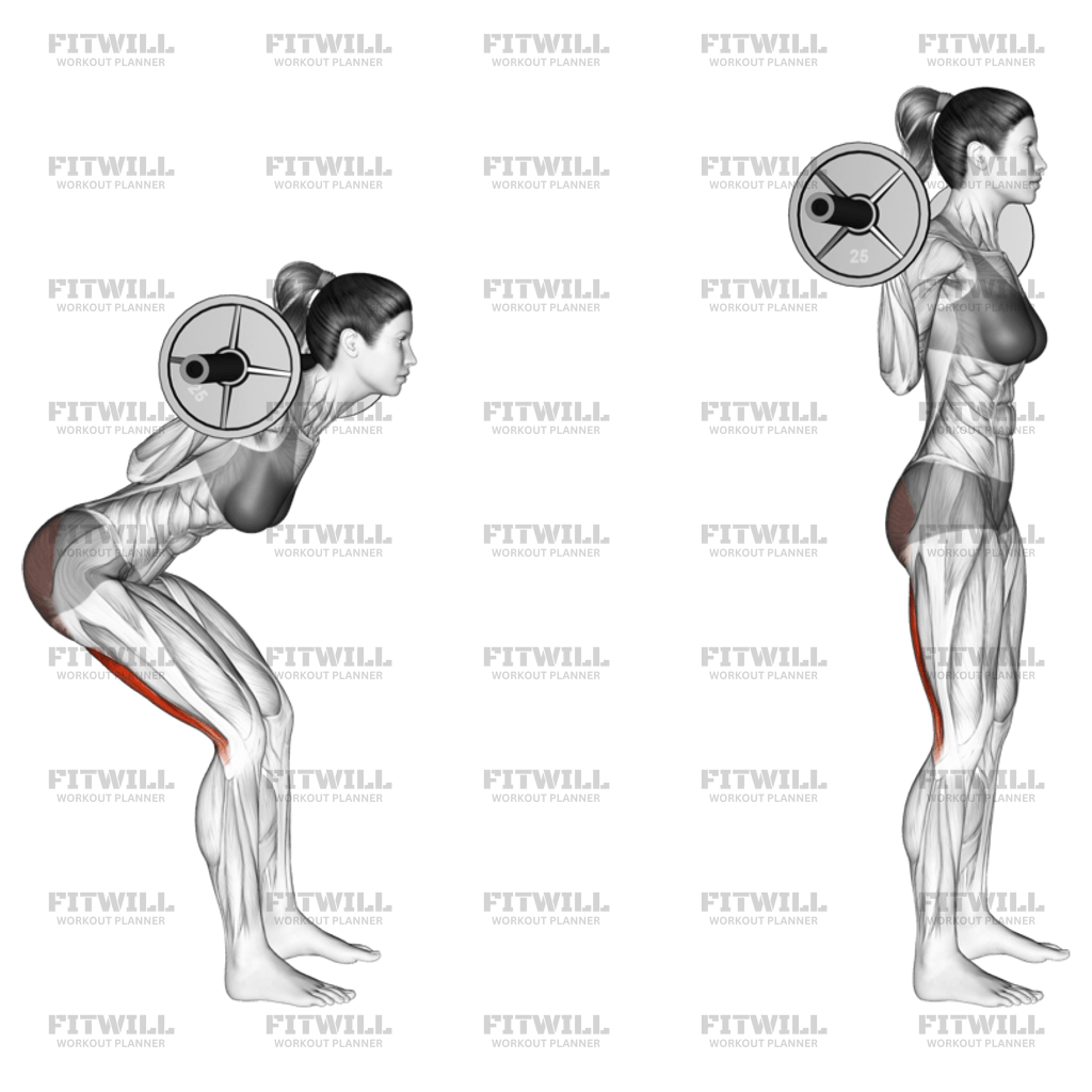 Barbell Good Morning: Exercise Guide, Video, Techniques, Benefits, How ...