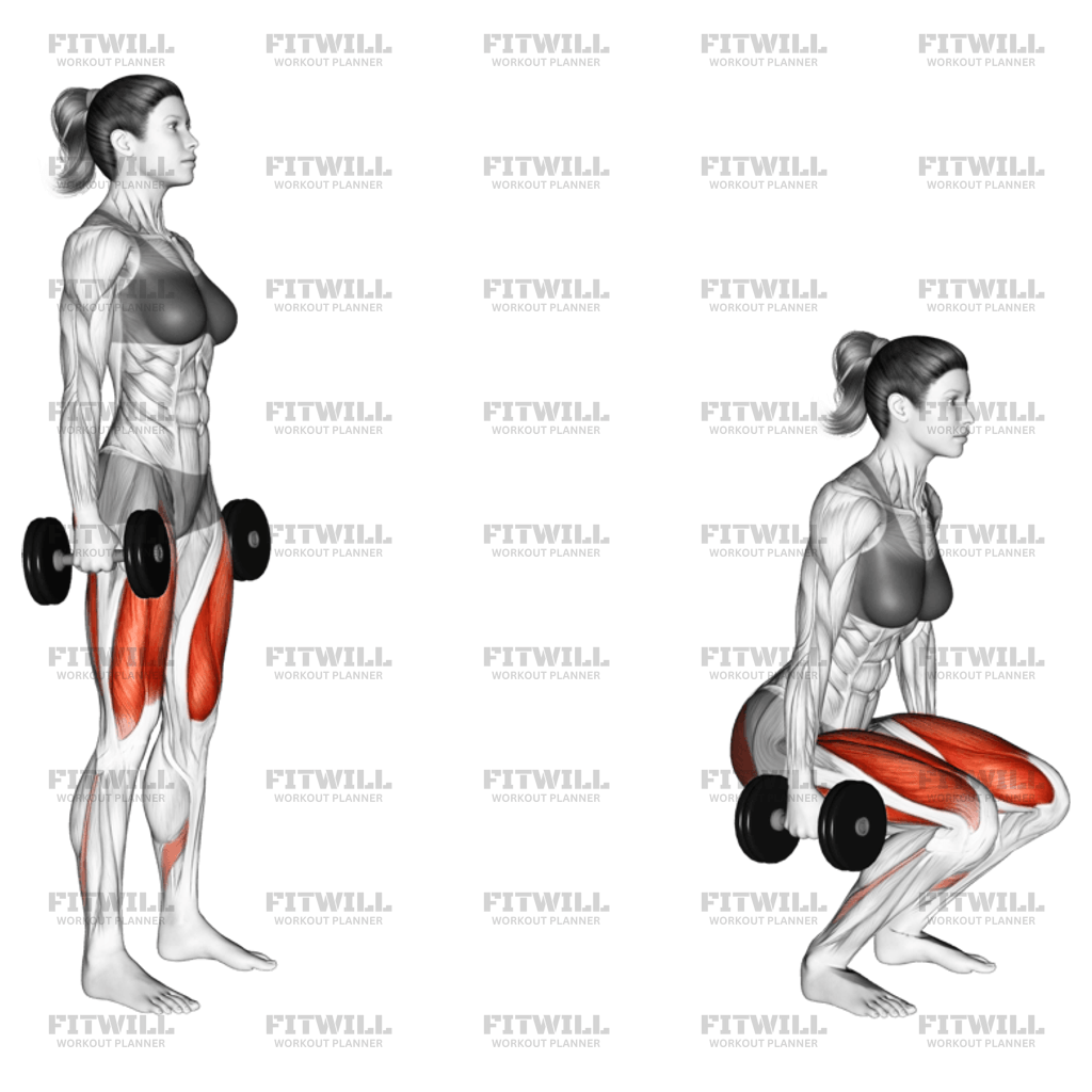Squat Avec Haltères : Guide d'exercice, vidéo, techniques, avantages ...