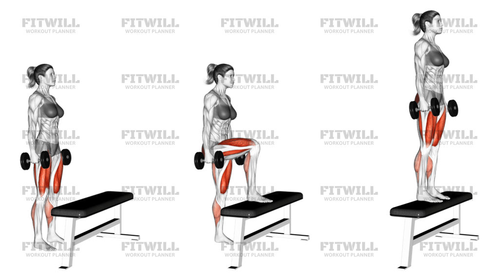 How to do Dumbbell Step Up: Techniques, Benefits, Tips & Tricks | Fitwill