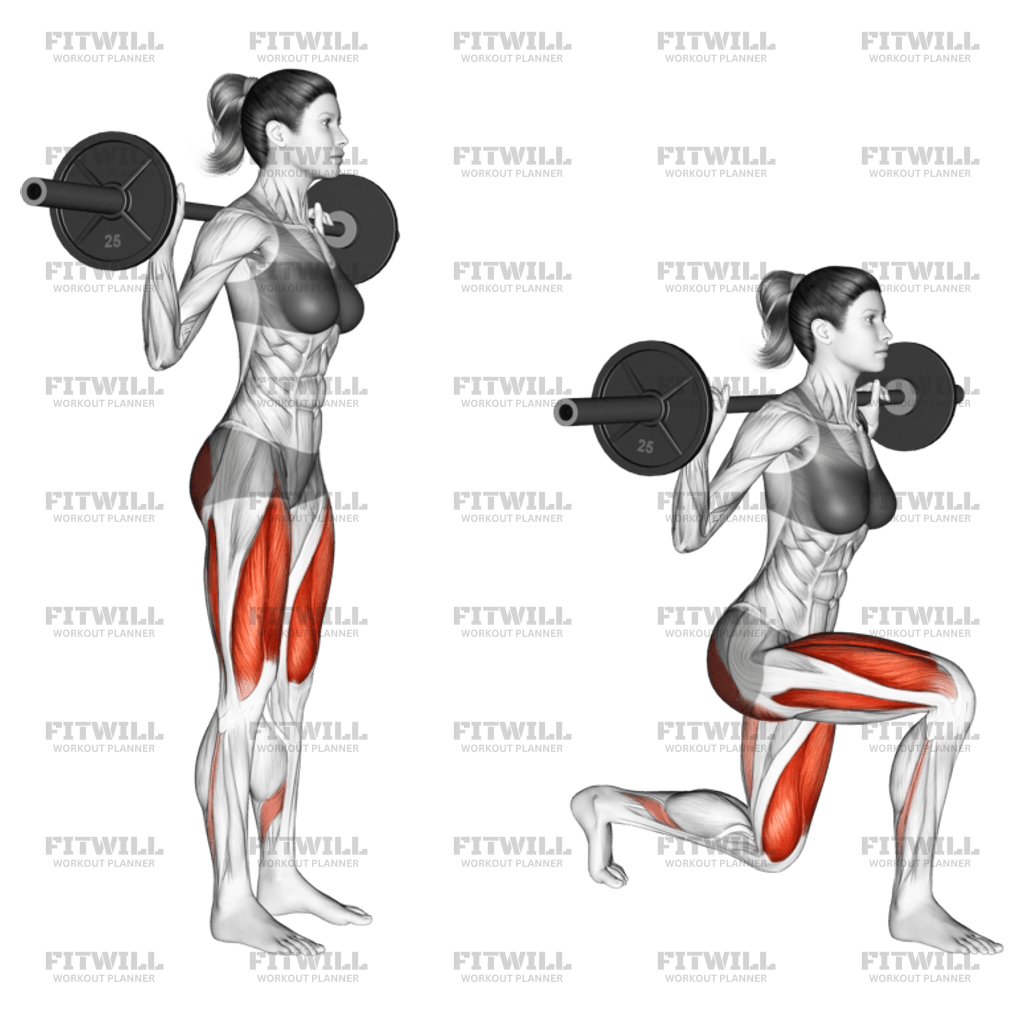 Barbell Rear Lunge: Exercise Guide, Video, Techniques, Benefits, How to, Muscles Worked, Tips ...