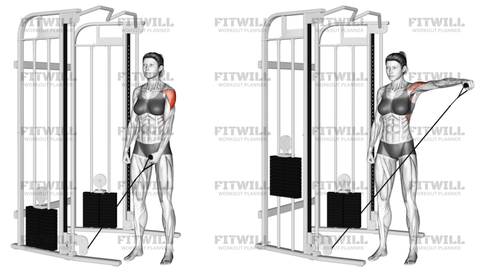 Cable One Arm Lateral Raise: Exercise Guide, Video, Techniques ...
