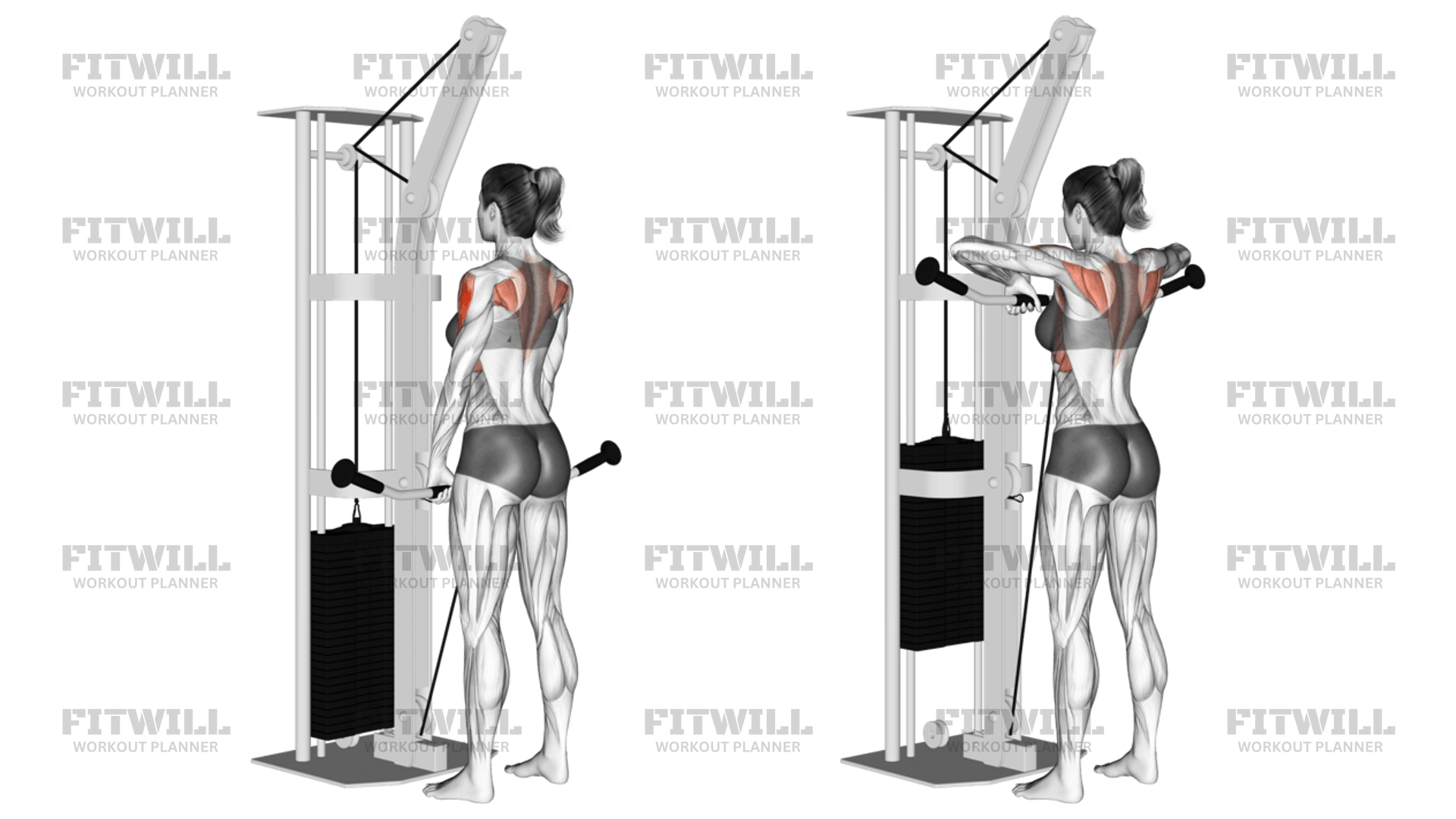 Cable Upright Row: Exercise Guide, Video, Techniques, Benefits, How to ...