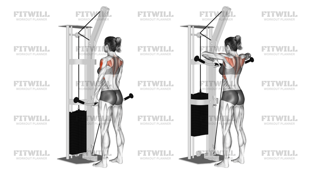 Cable Upright Row: Exercise Guide, Video, Techniques, Benefits, How to ...